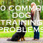 Frontpage - Dog Training Techniques